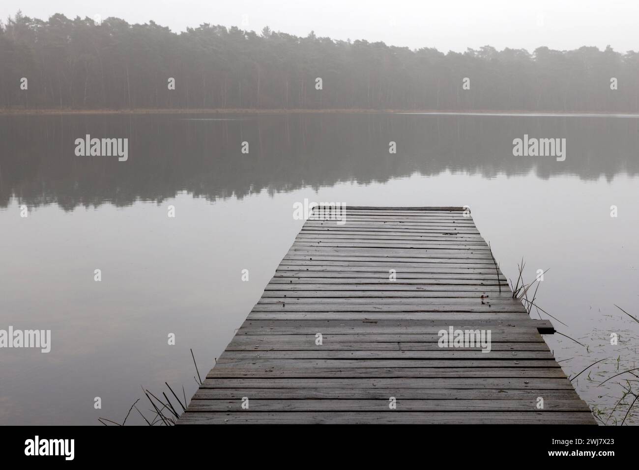 Europa Deutschland Niedersachsen Landkreis Rotenburg Wümme Lüneburger ...