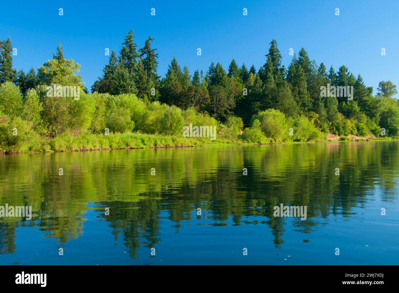 Willamette River, Willamette River Greenway, Marion County, Oregon ...