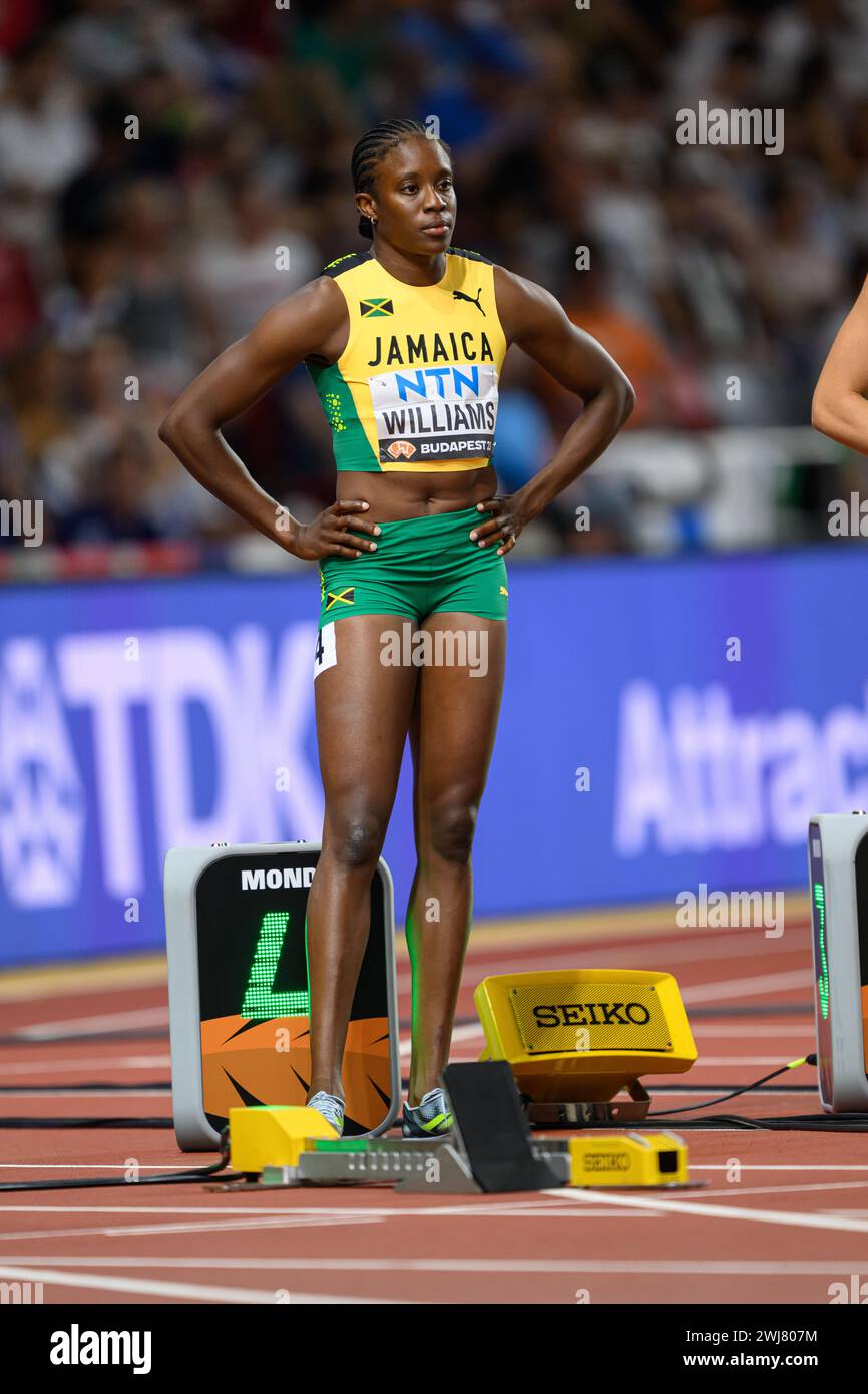Danielle WILLIAMS participating in the 100 meters hurdles at the World ...