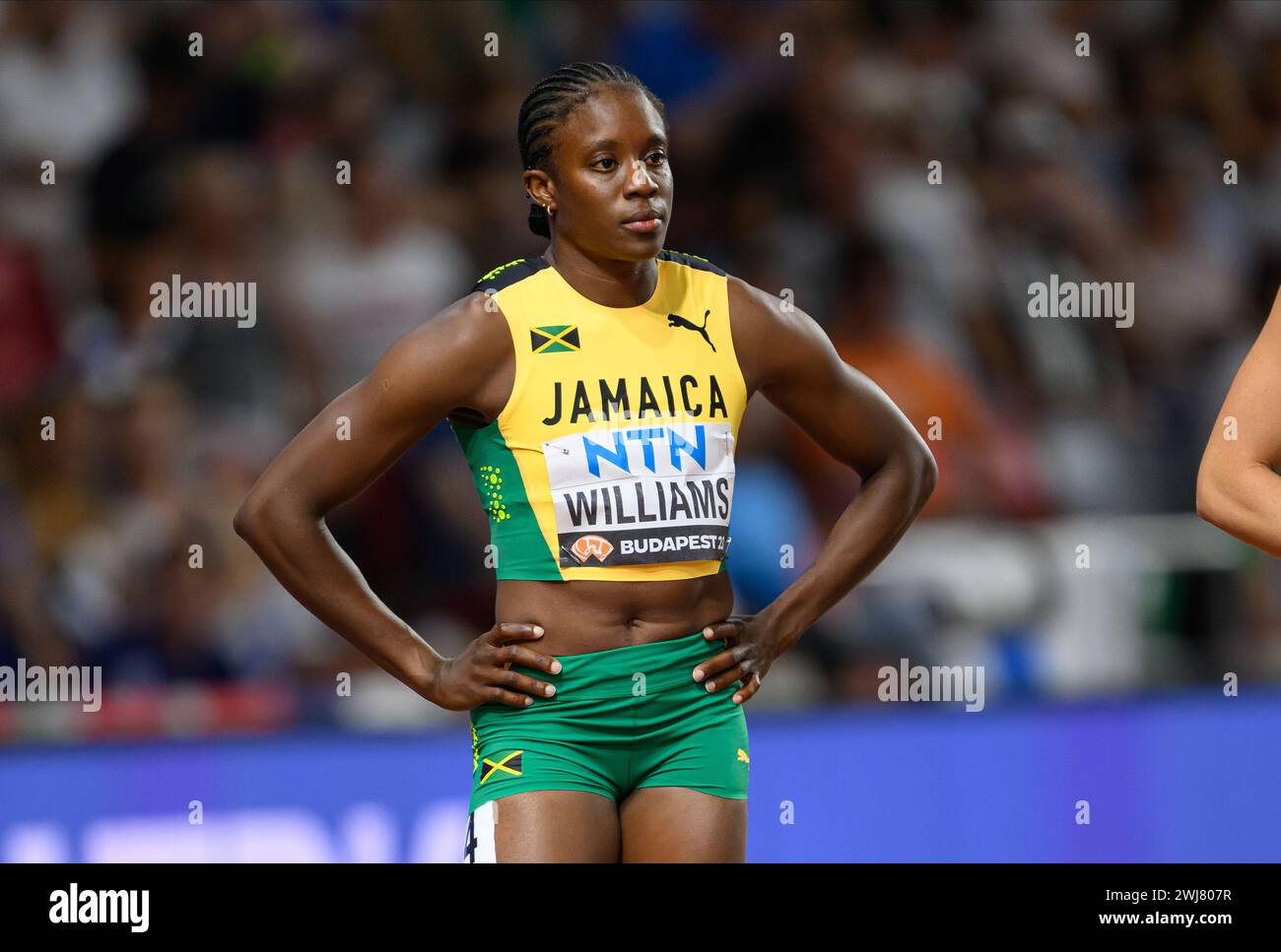 Danielle WILLIAMS participating in the 100 meters hurdles at the World ...