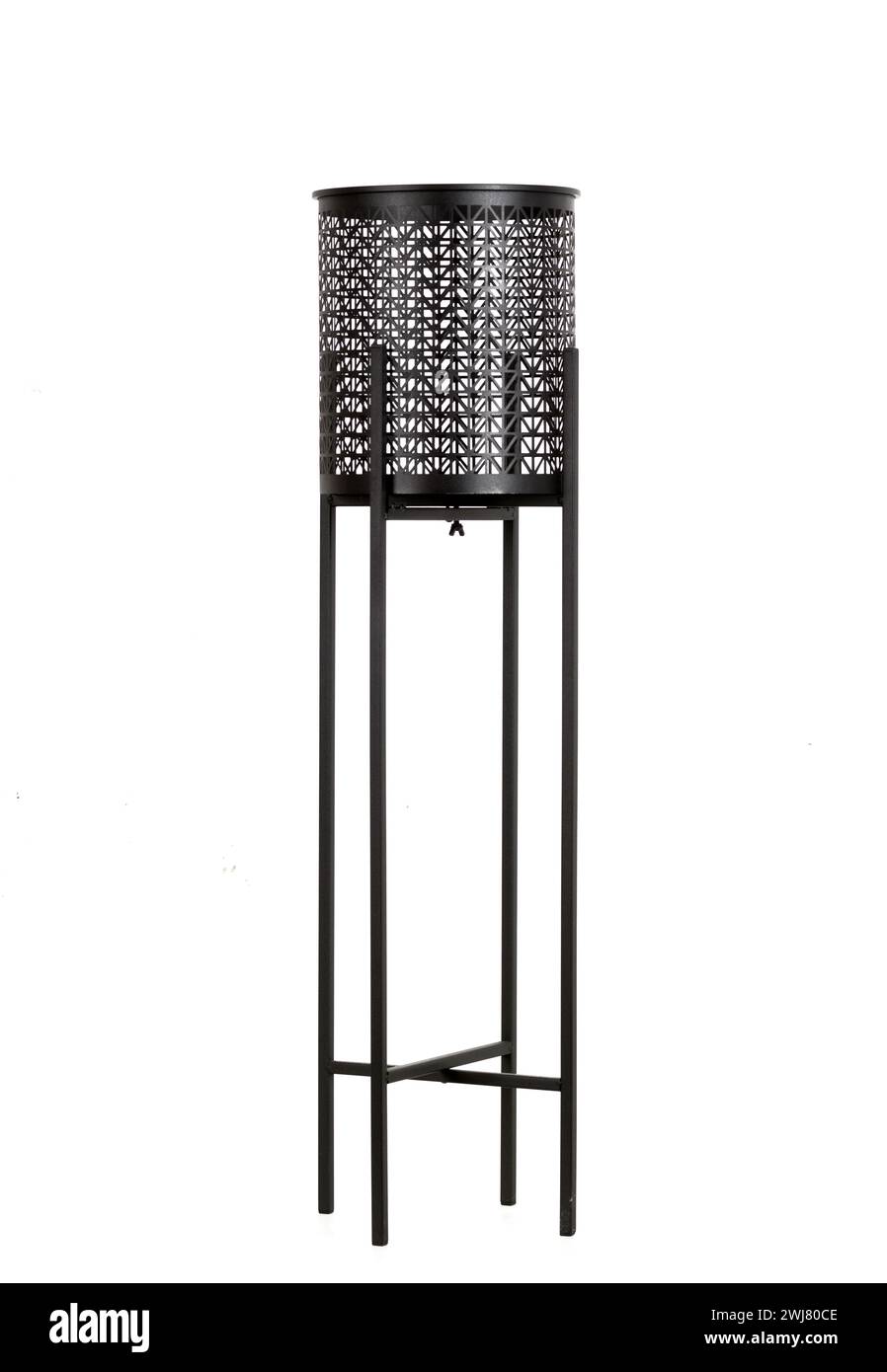 Black tall metal openwork planter on a stand, interior decoration in a ...