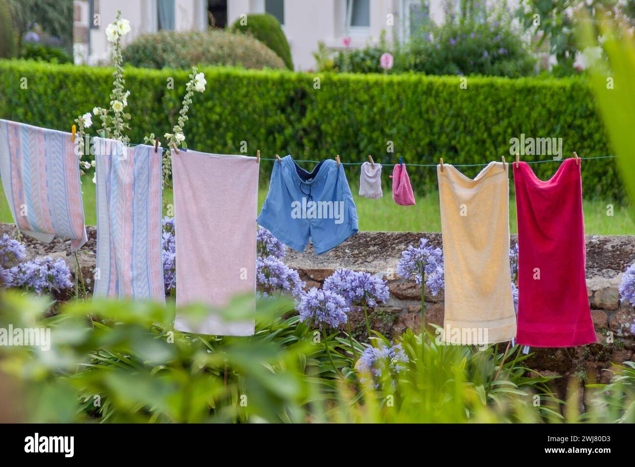 Laundry on a washing line in a garden, Ile de Brehat, Brittany, France ...