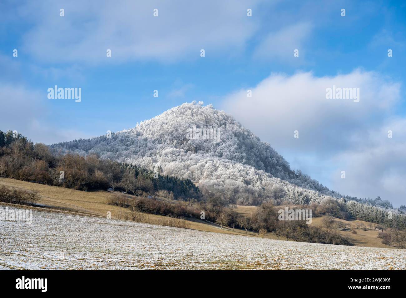 The Hegau volcano Hohenhewen in winter, with hoarfrost, Engen, district ...
