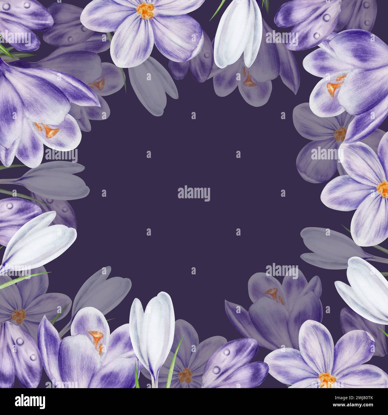 Hand drawn illust hi-res stock photography and images - Alamy