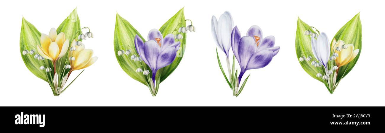 Yellow mountain flowers on Cut Out Stock Images & Pictures - Alamy