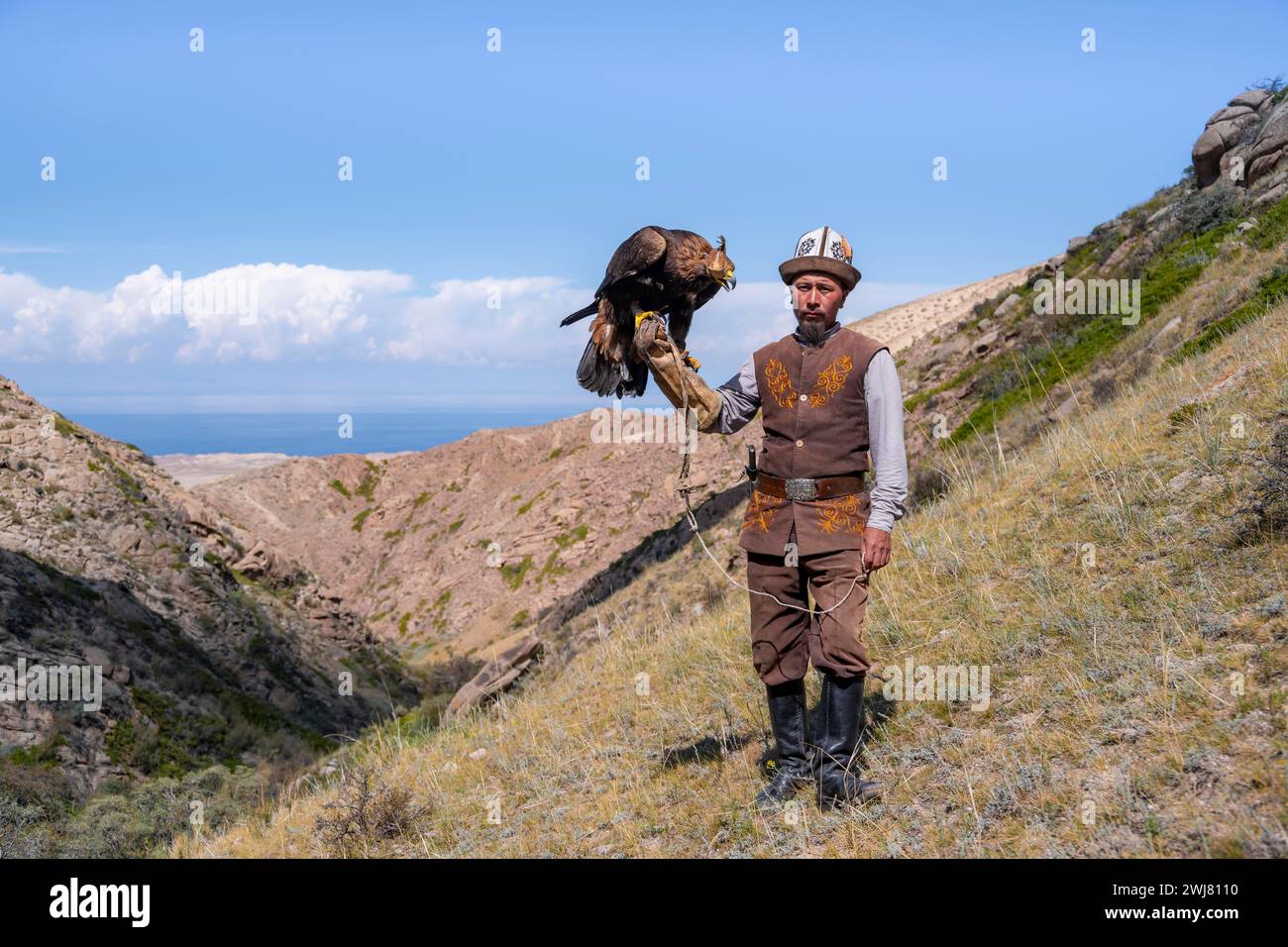 Traditional Kyrgyz eagle hunter with eagle in the mountains, near Kysyl ...
