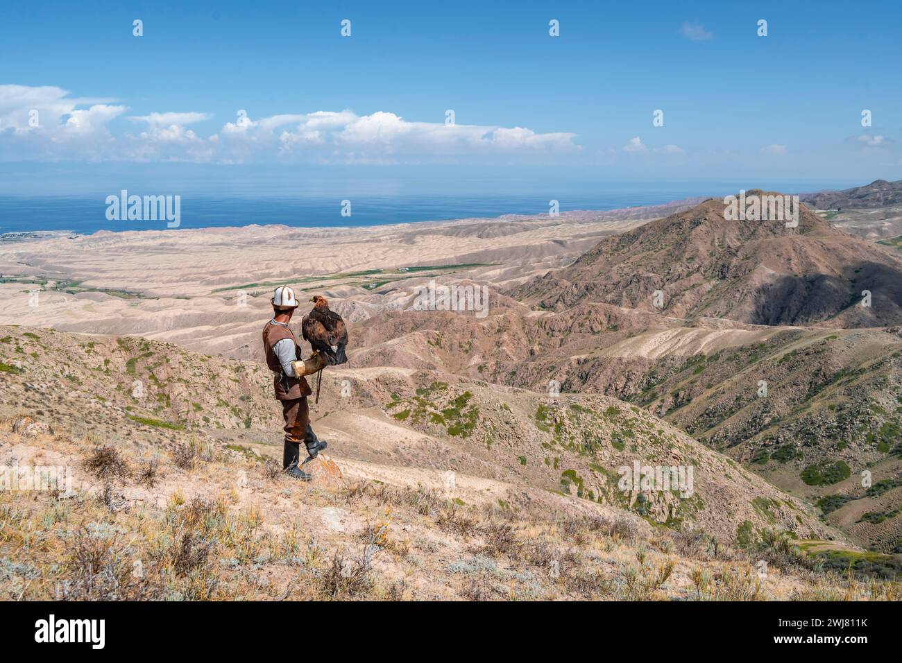 Traditional Kyrgyz eagle hunter hunting in the mountains in a dry ...