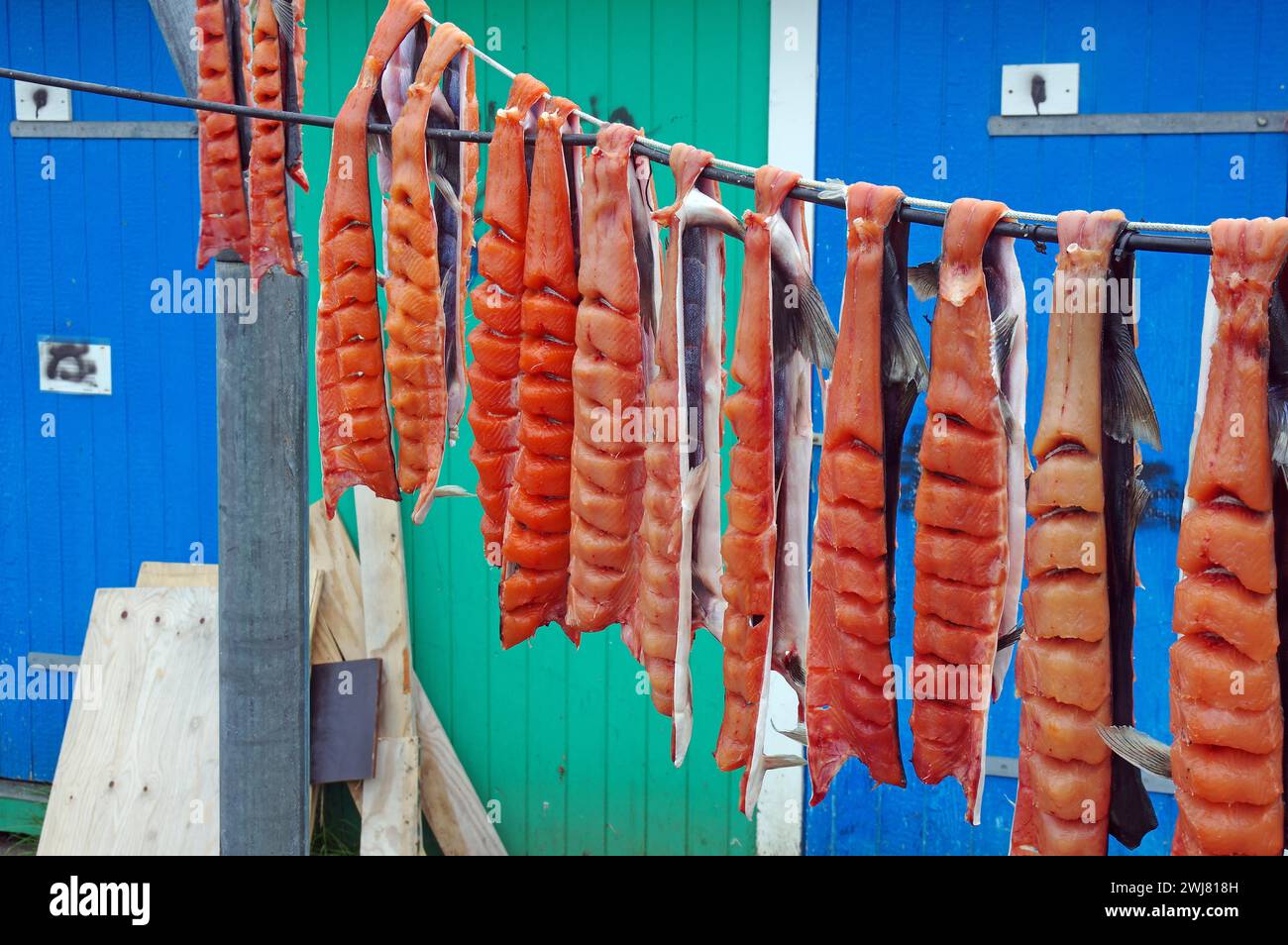 Fish being hung up to dry, old preservation method, Maniitsoq ...