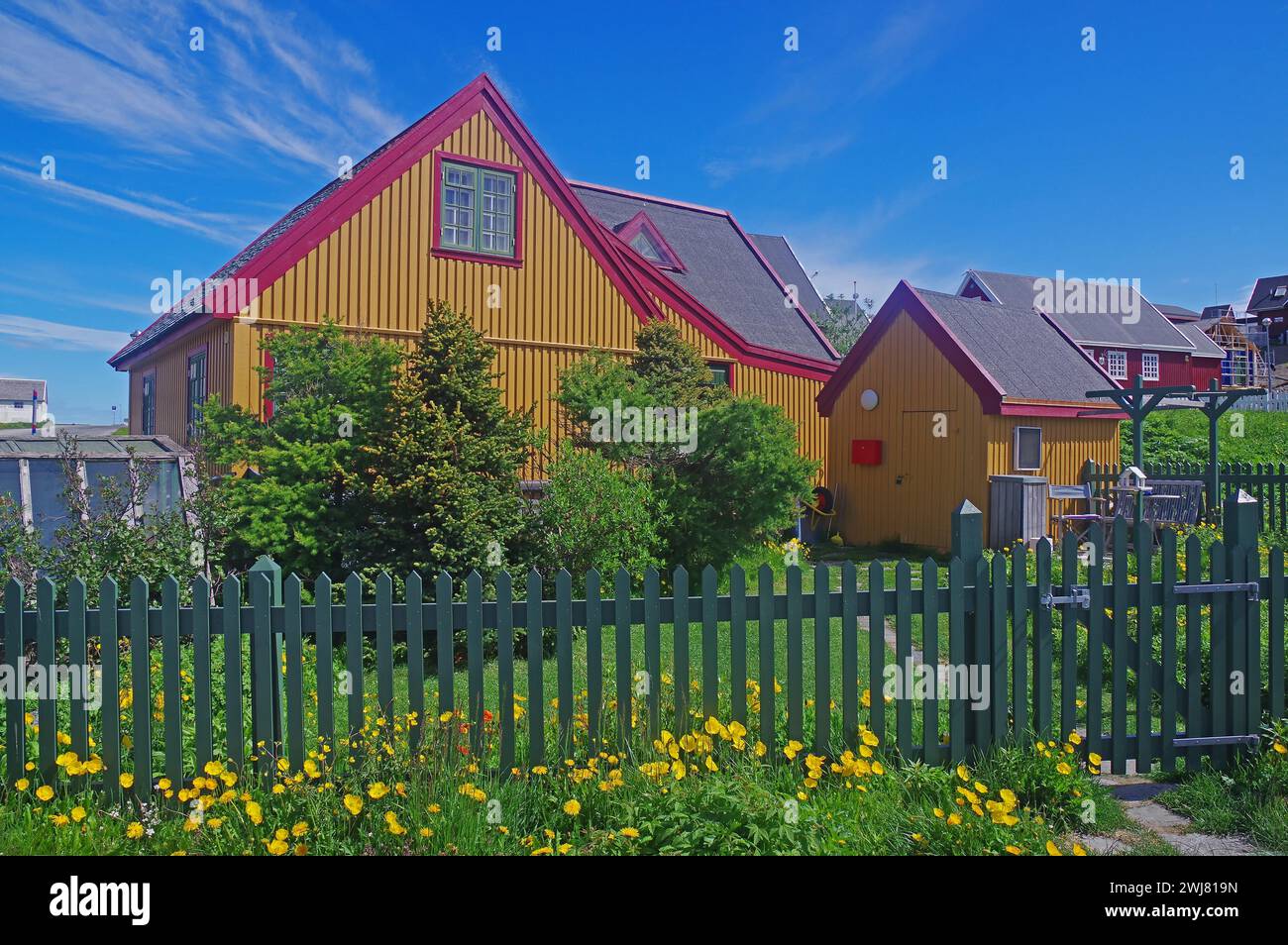 Old town of Nuuk, house with trees and flowering meadow, Greenland ...