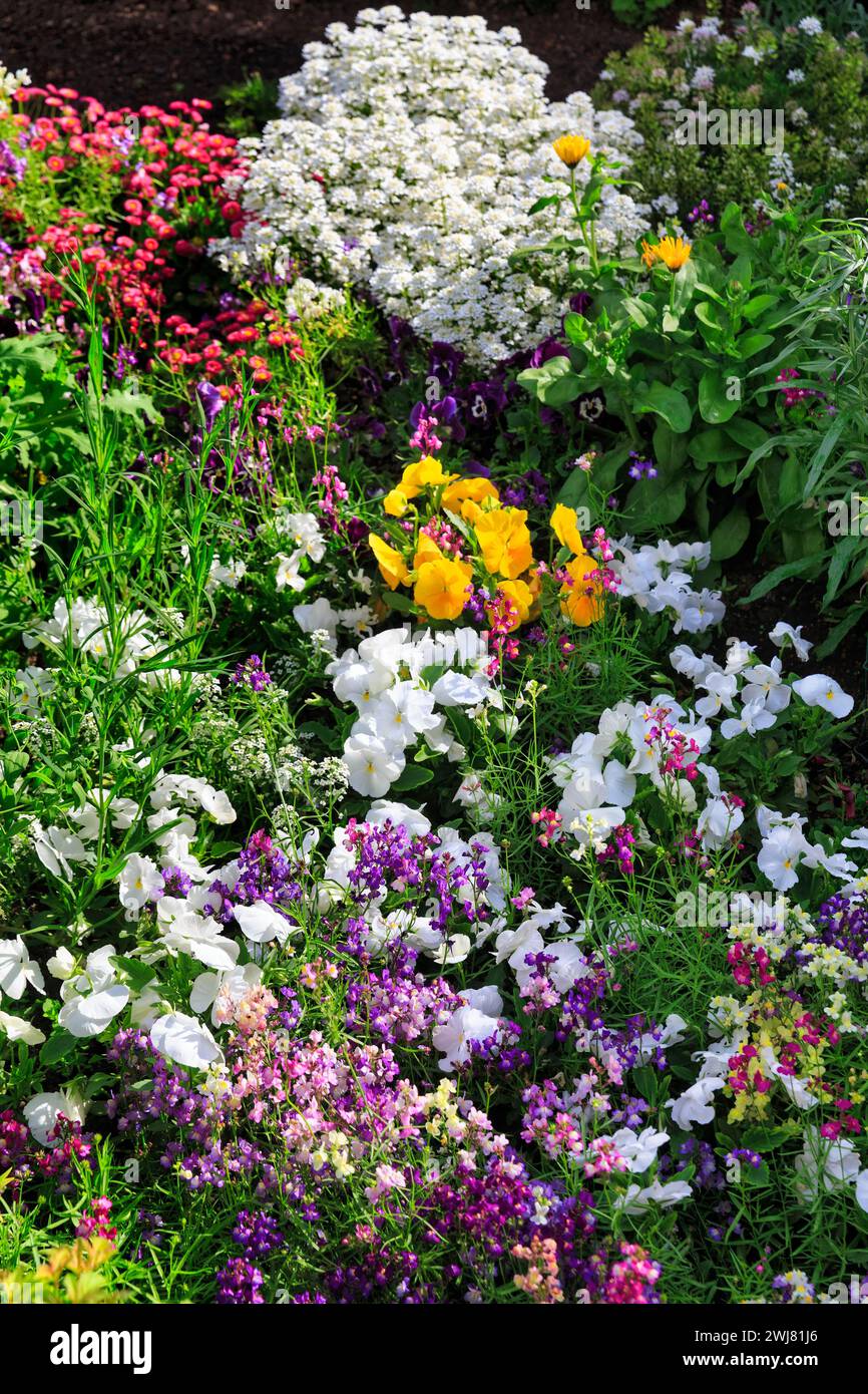 Splendour of flowers in spring, gardens, Generalife Gardens, Alhambra ...