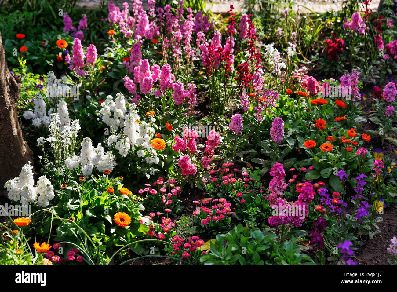 Splendour of flowers in spring, gardens, arabic, islamic, oriental ...