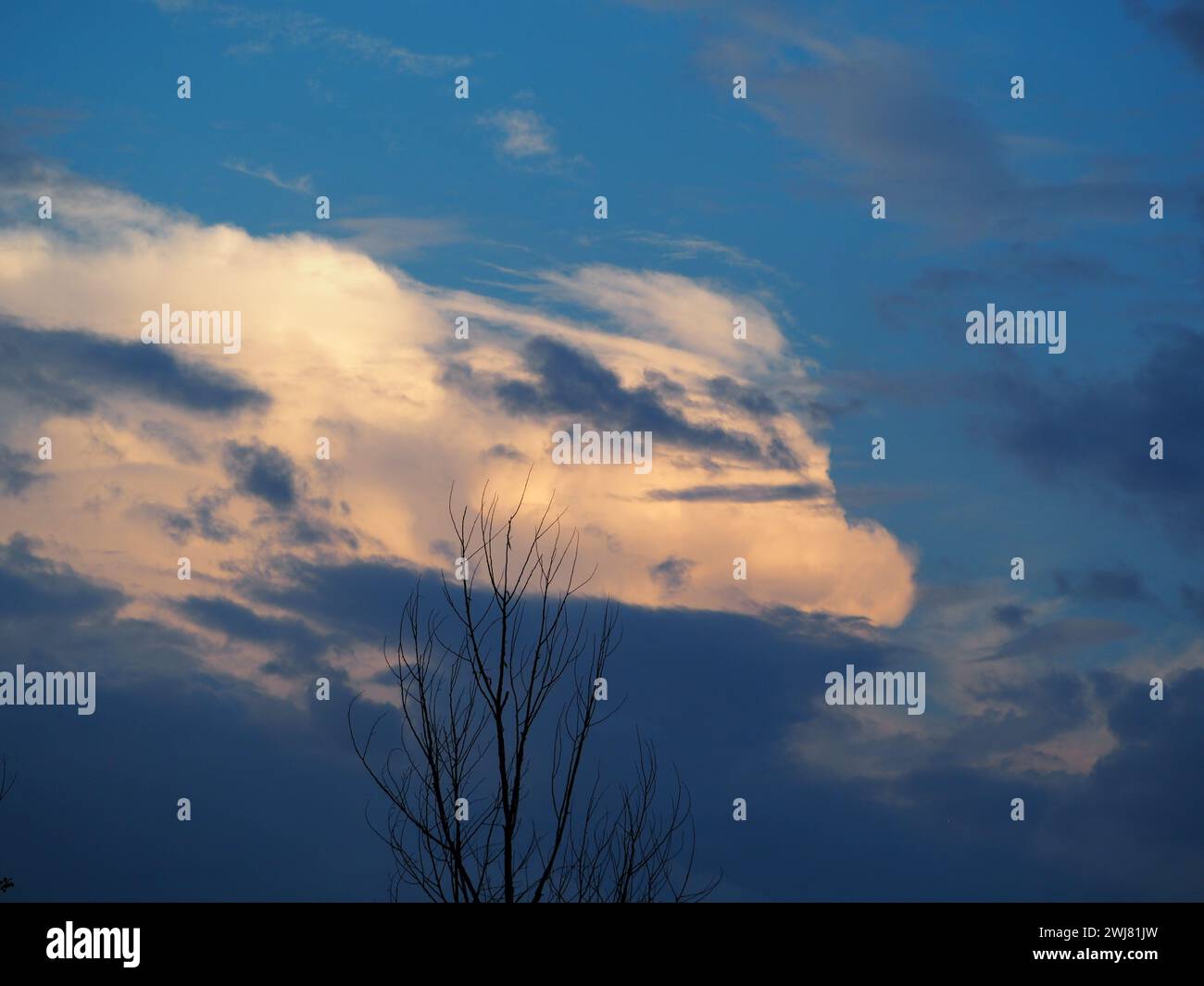 Evening sunlight glow hi-res stock photography and images - Alamy