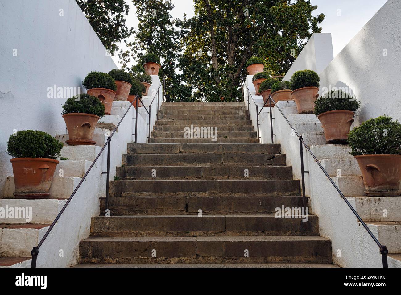 Staircase decorated with flower pots, Palacio de Generalife, Moorish ...