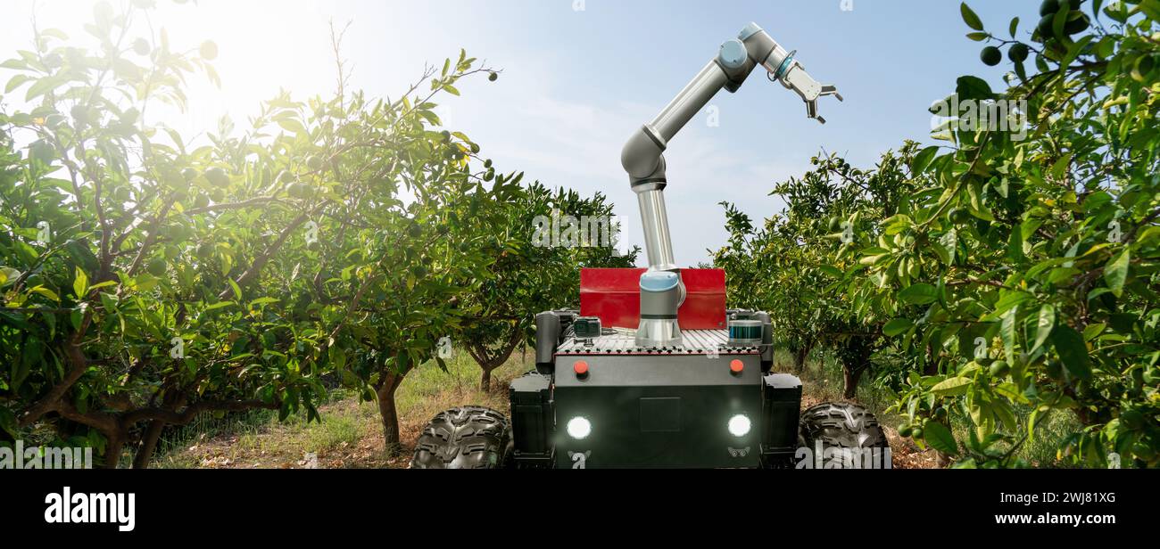Autonomous robot harvester with robotic arm harvesting fruits on a ...