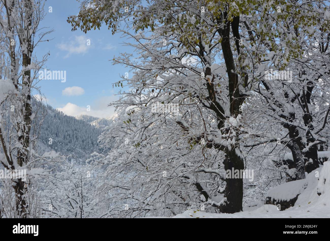 Snowfalls gallery hi-res stock photography and images - Alamy