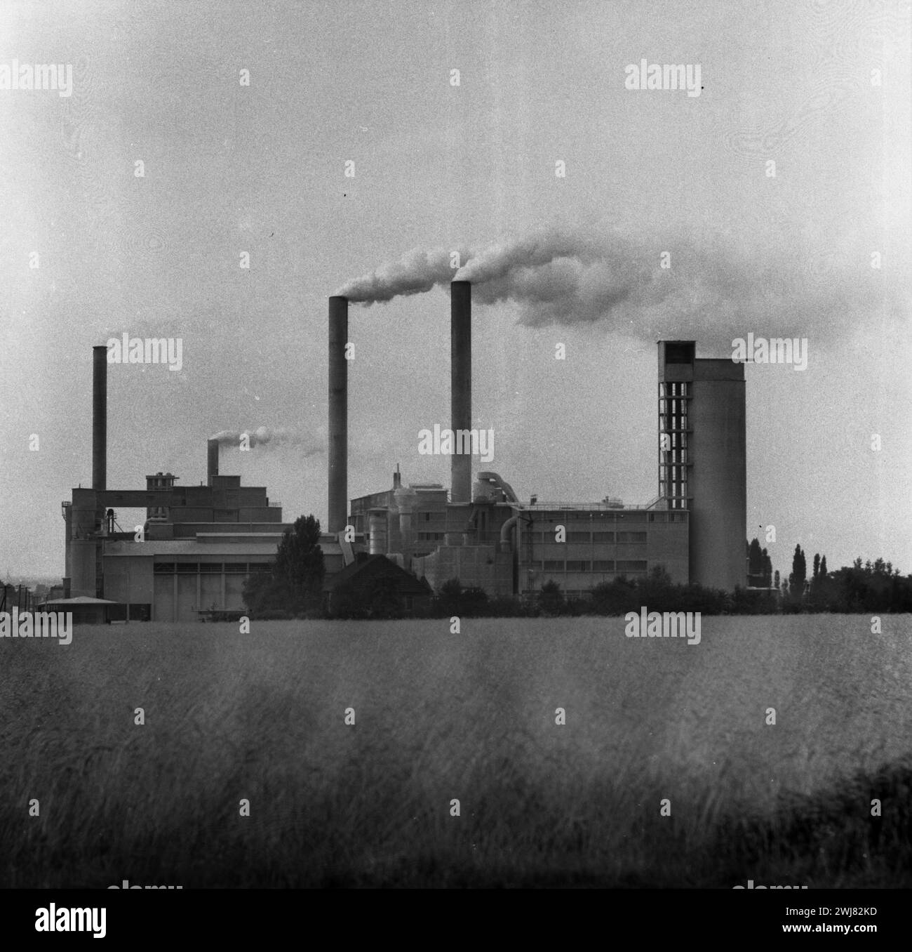 DEU, Germany, Dortmund: Personalities from politics, economy and ...