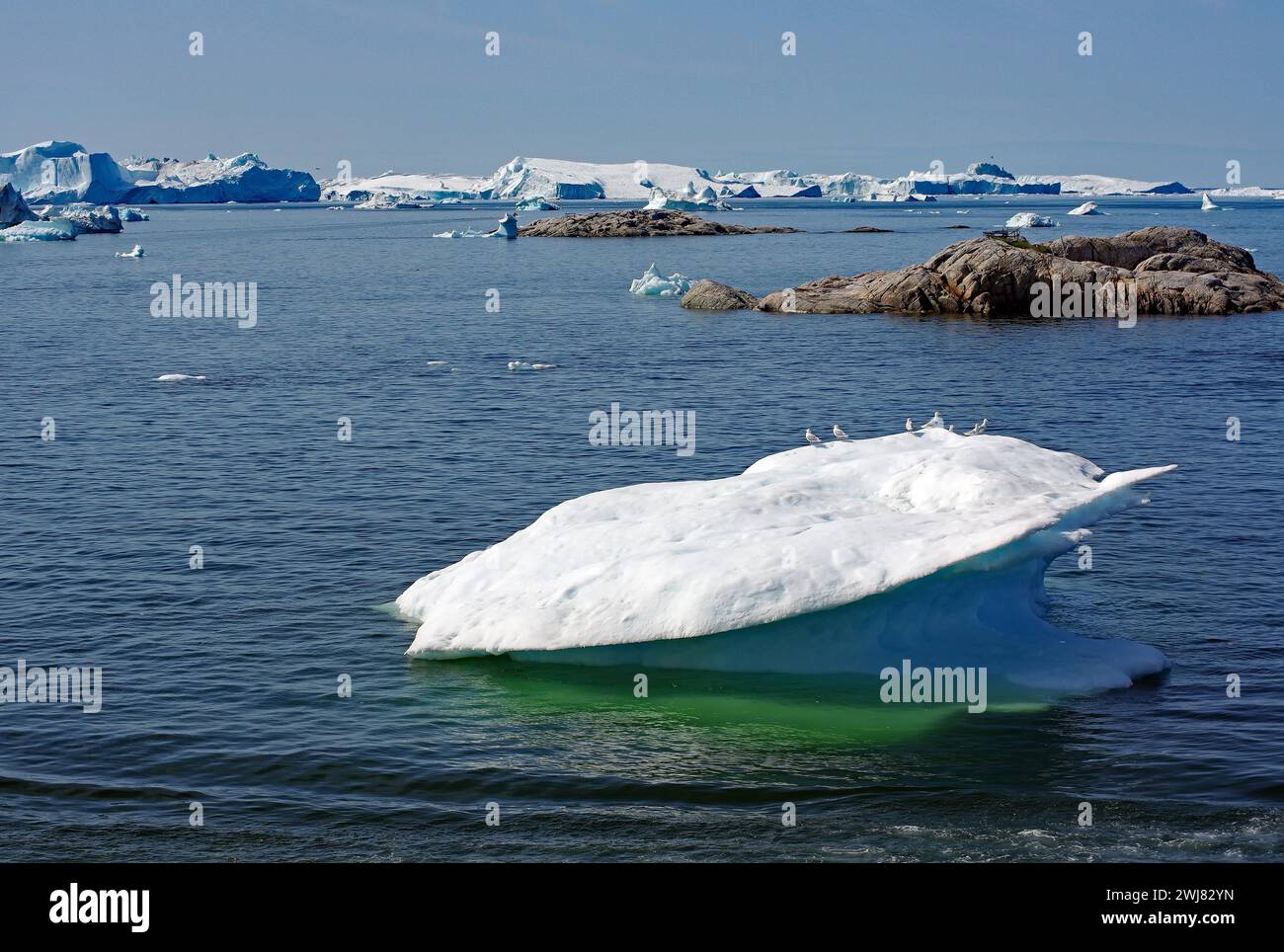 Iceberg with seabirds, rocks in the fjord, Ilulissat, Disko Bay ...