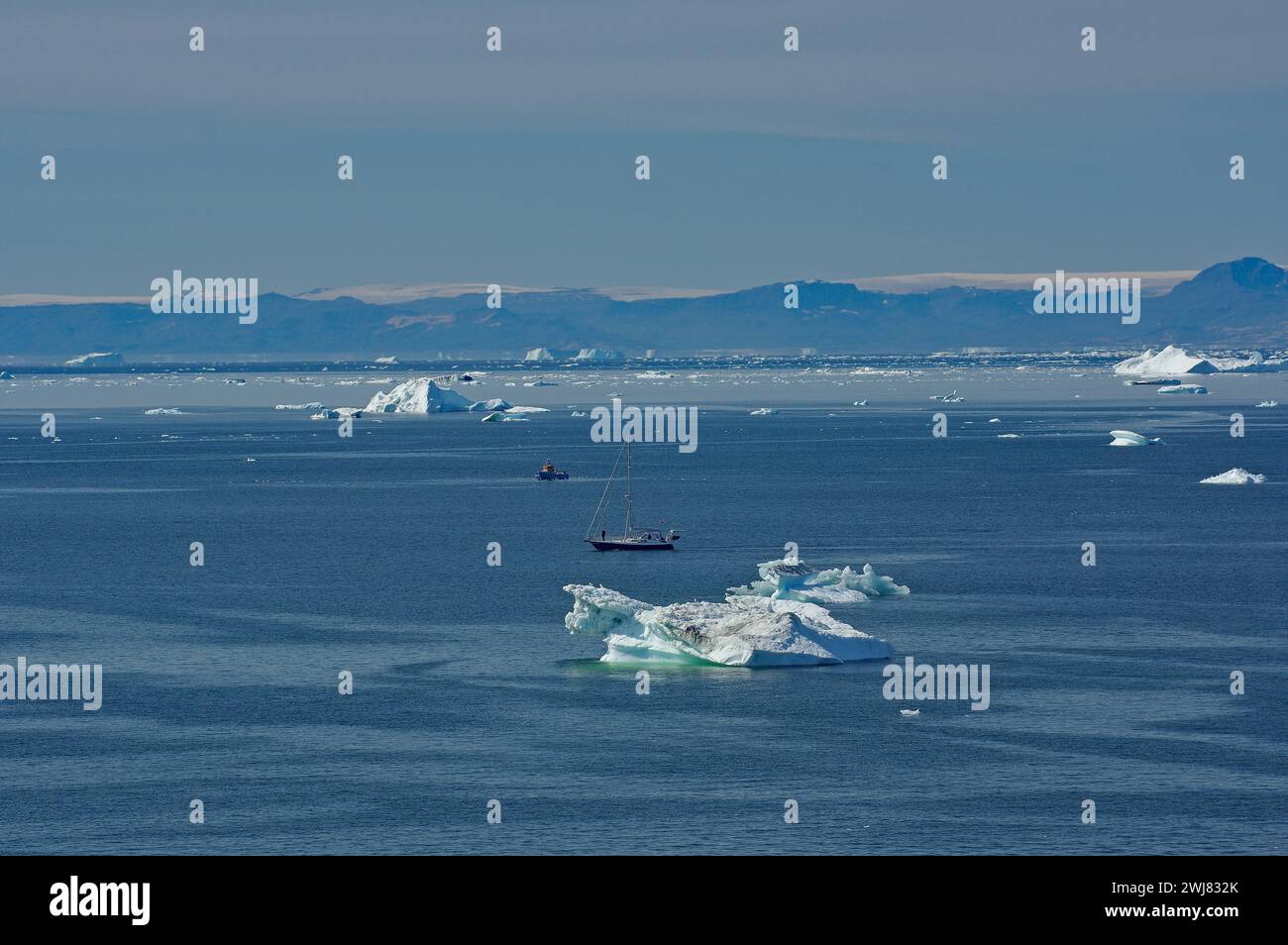 Sailboat in a bay covered with icebergs, Disko Island in the background ...