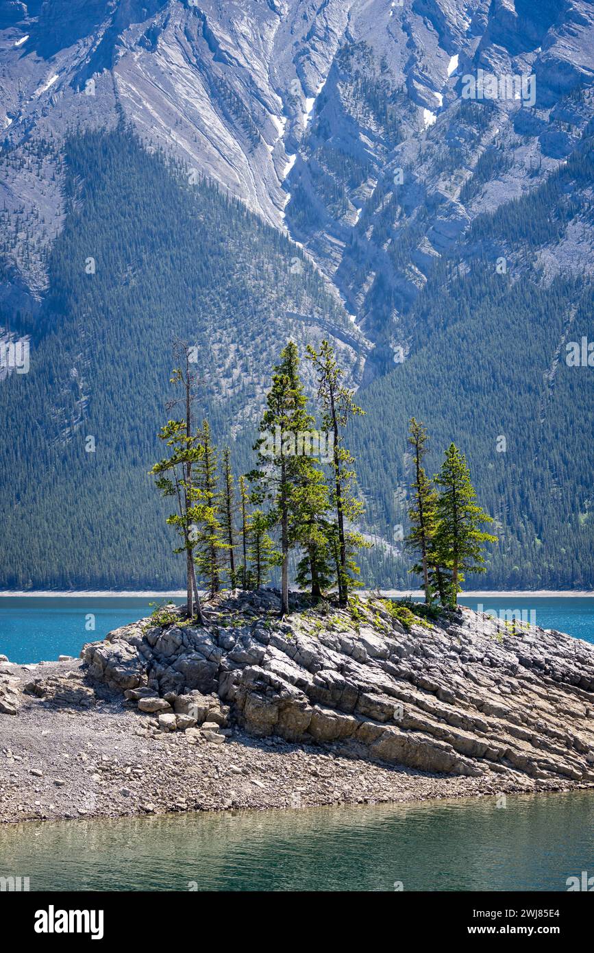 Small cluster of pine trees on rocky outcrop in Lake Minnewanka, Banff ...