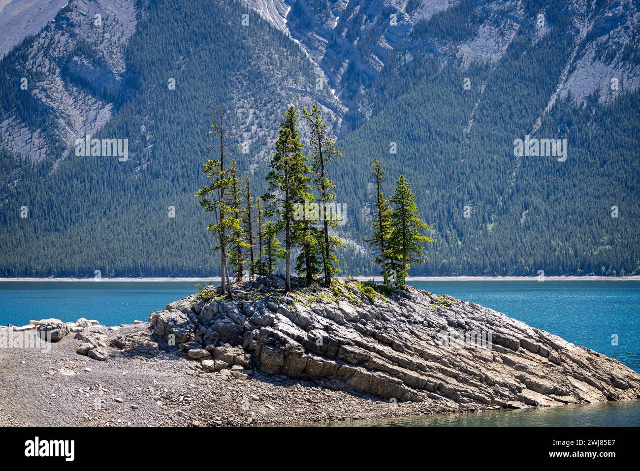 Small cluster of pine trees on rocky outcrop in Lake Minnewanka, Banff ...