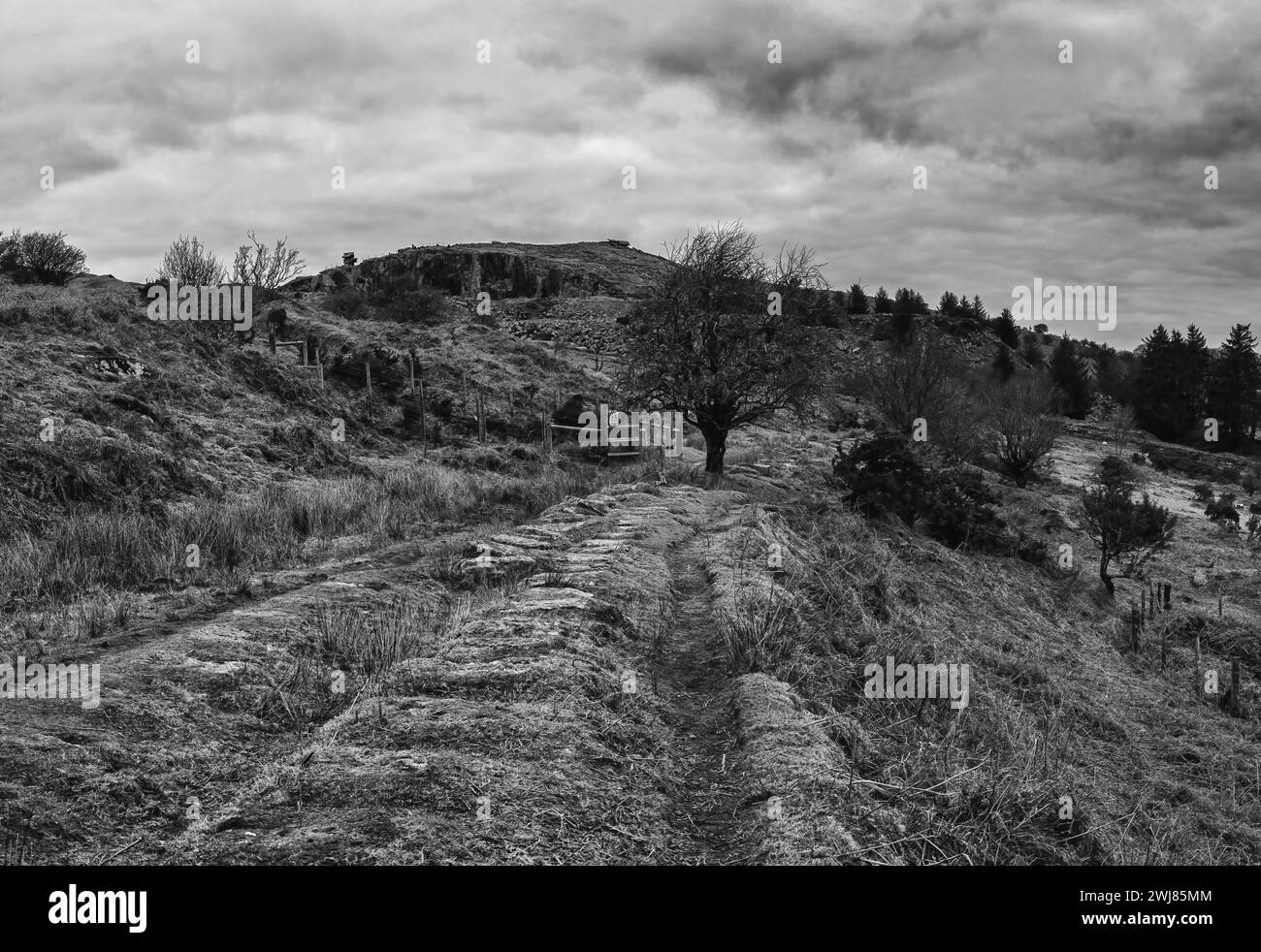 Disused Liskeard & Caradon Railway line on Bodmin Moor with Stowe Hill ...