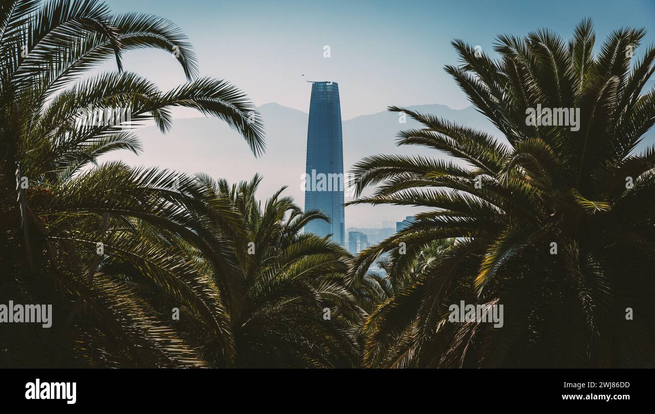 Palm trees modern buildings hi-res stock photography and images - Alamy