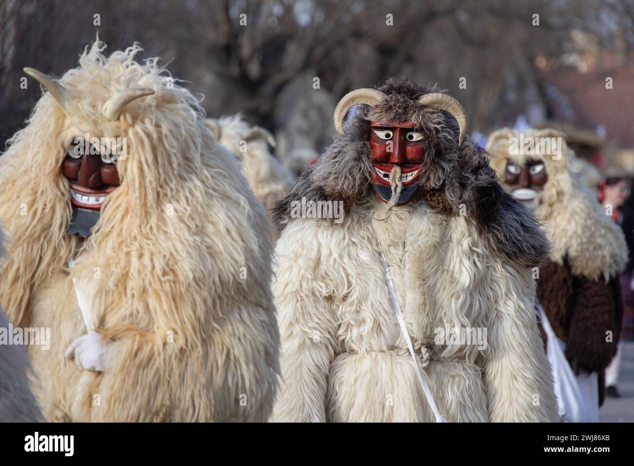Mohacs, Hungary. 13th Feb, 2024. Busos, costumed people wearing wooden ...