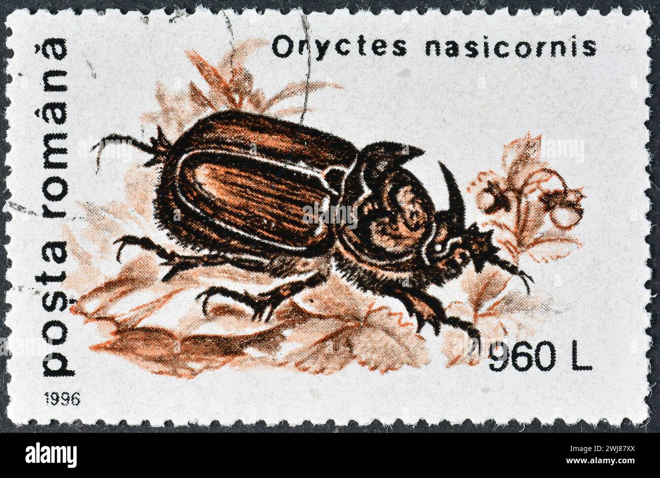 Cancelled postage stamp printed by Romania, that shows European ...