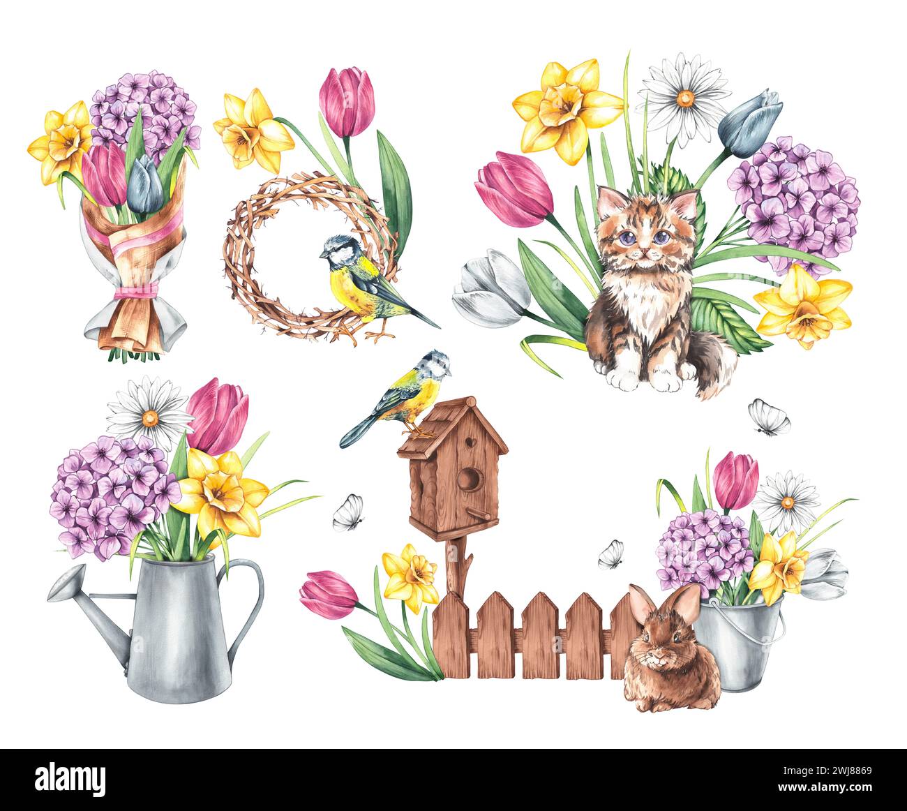 Watercolor set of spring illustrations with birds, flowers, cat in ...