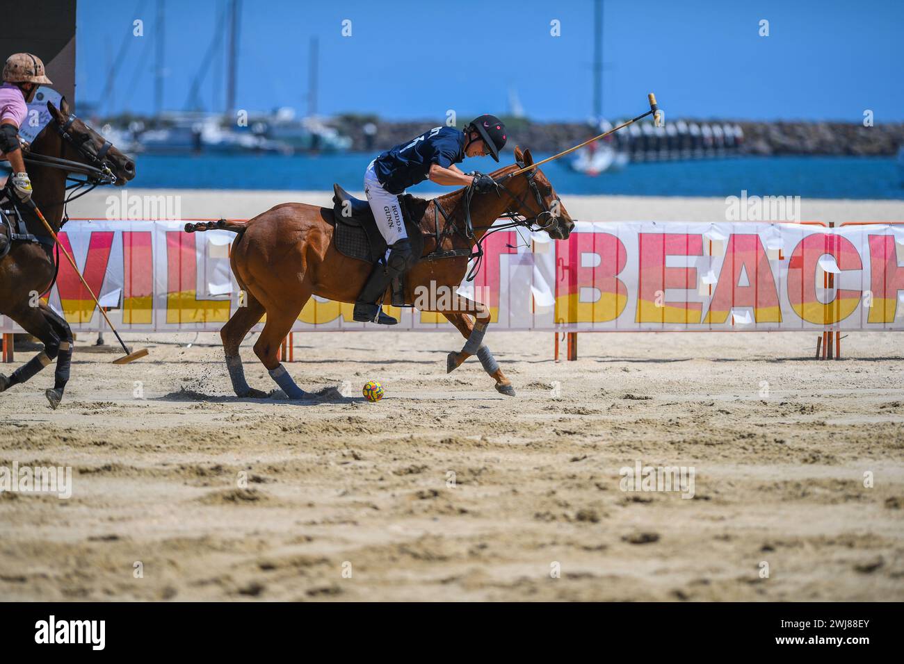 Australian professional polo player Josh Dales (centre) from Captain ...