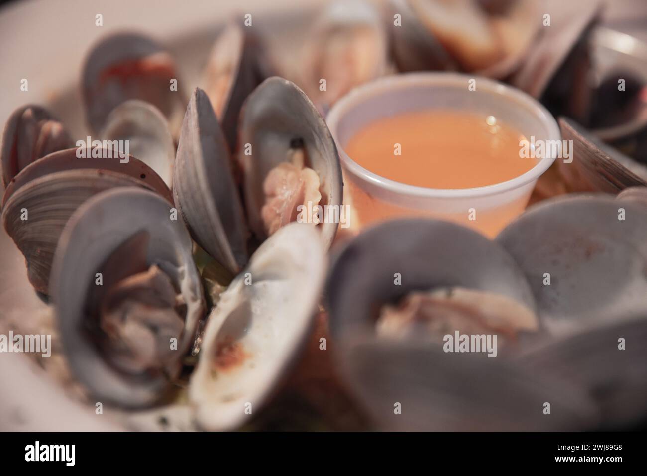 Steamed clams with butter served at a pub Stock Photo - Alamy