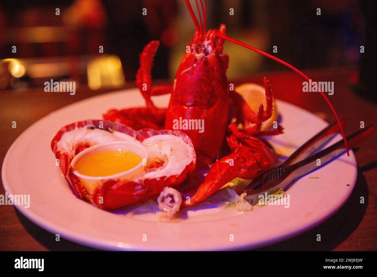 Lobster stand hi-res stock photography and images - Alamy