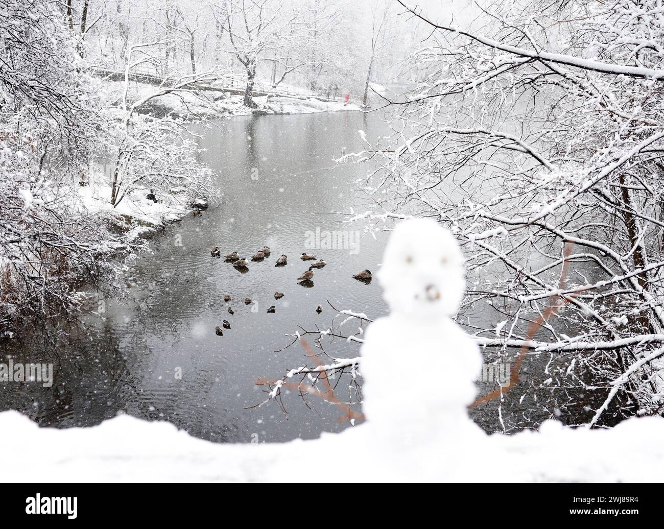 New York, United States. 13th Feb, 2024. A small snowman sits on a ...