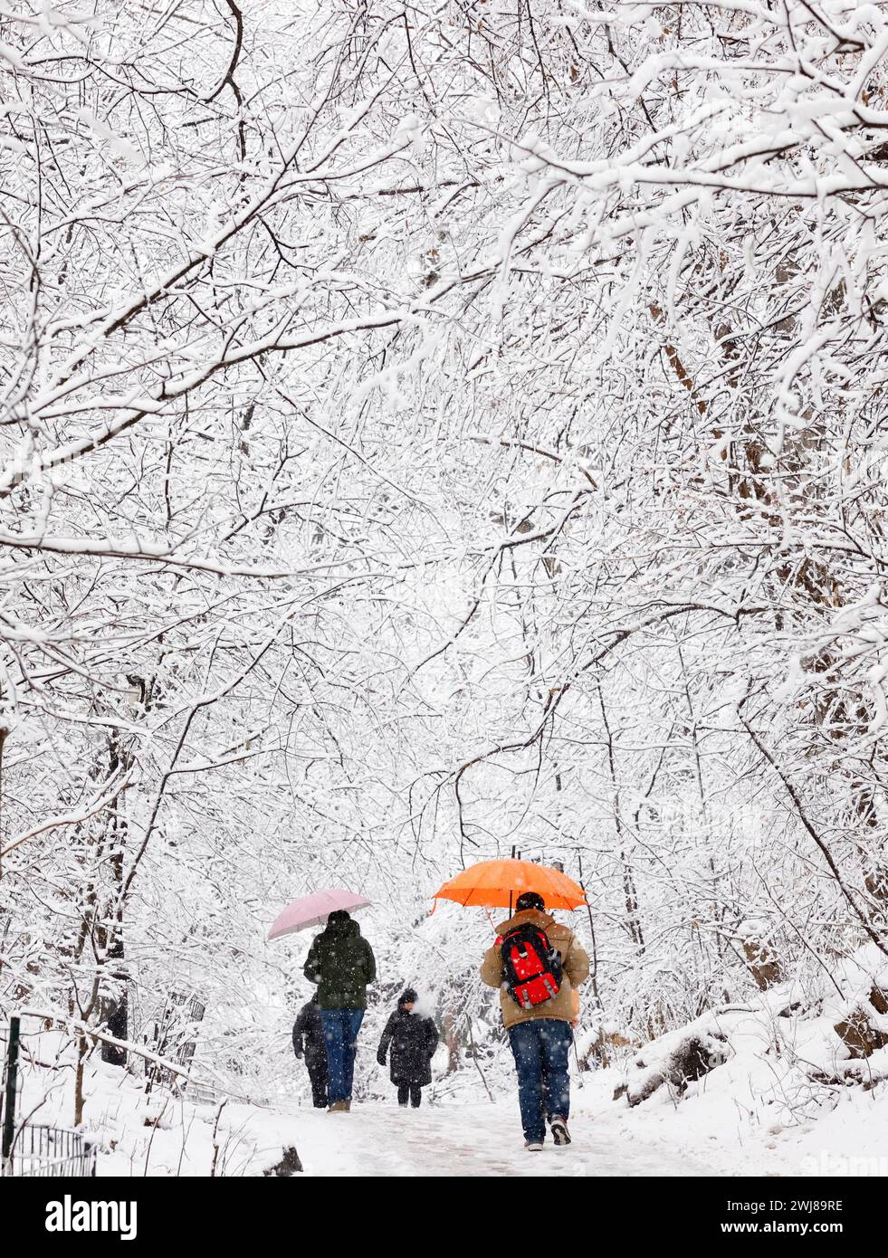 New York, United States. 13th Feb, 2024. Pedestrians bundled up for ...