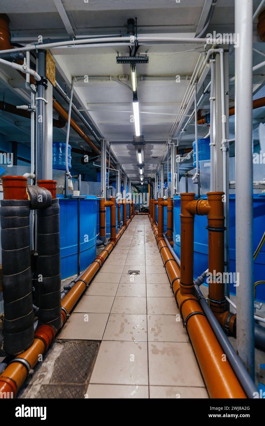 Round water basins with automatic feeding and water recirculation for ...