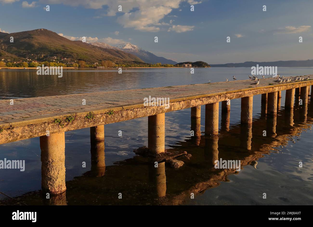 Former kej marsal tito hi-res stock photography and images - Alamy