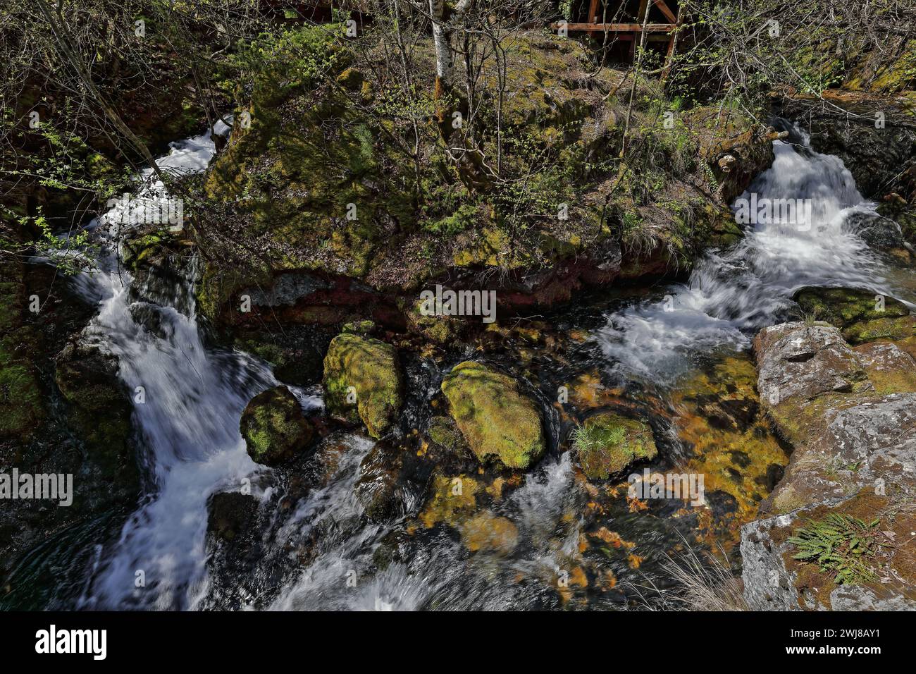 Vevchani hi-res stock photography and images - Alamy