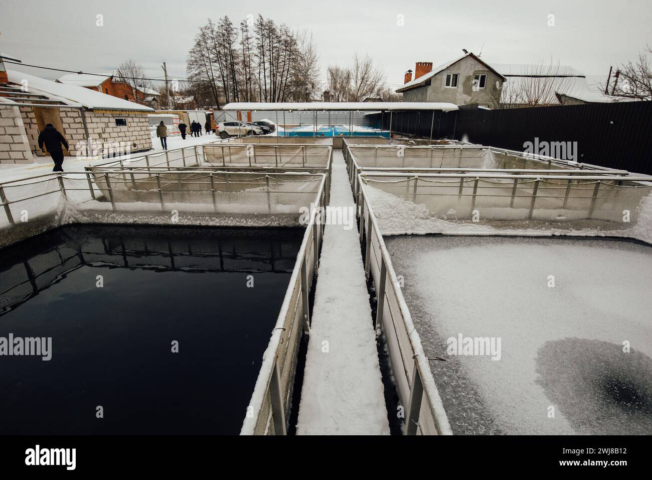 Winter aquaculture ponds for fish growing Stock Photo - Alamy