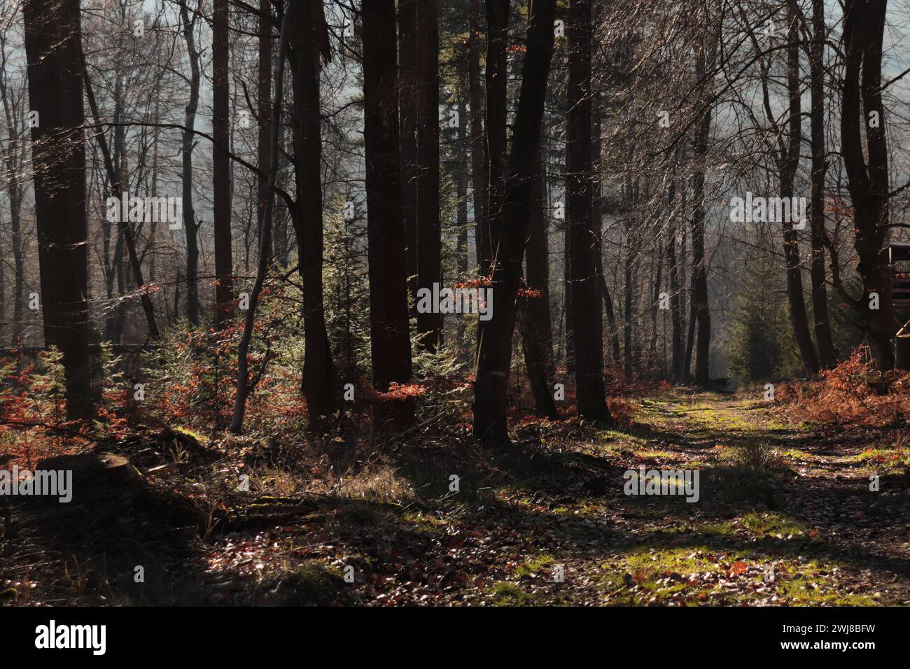 Faraoise hi-res stock photography and images - Alamy