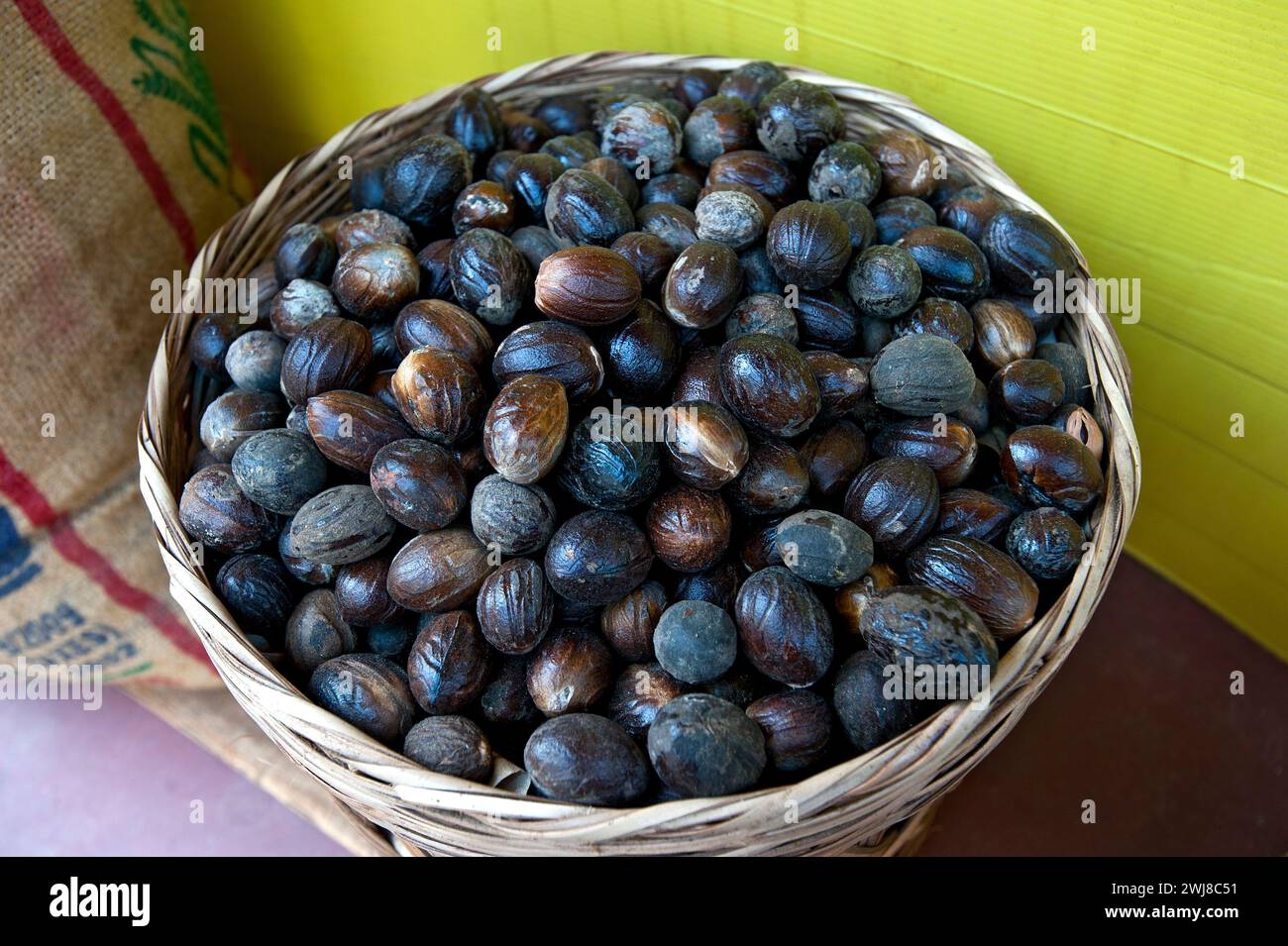 Bowl of Nutmeg seeds, Fort Cochin, Kerala, India Stock Photo - Alamy