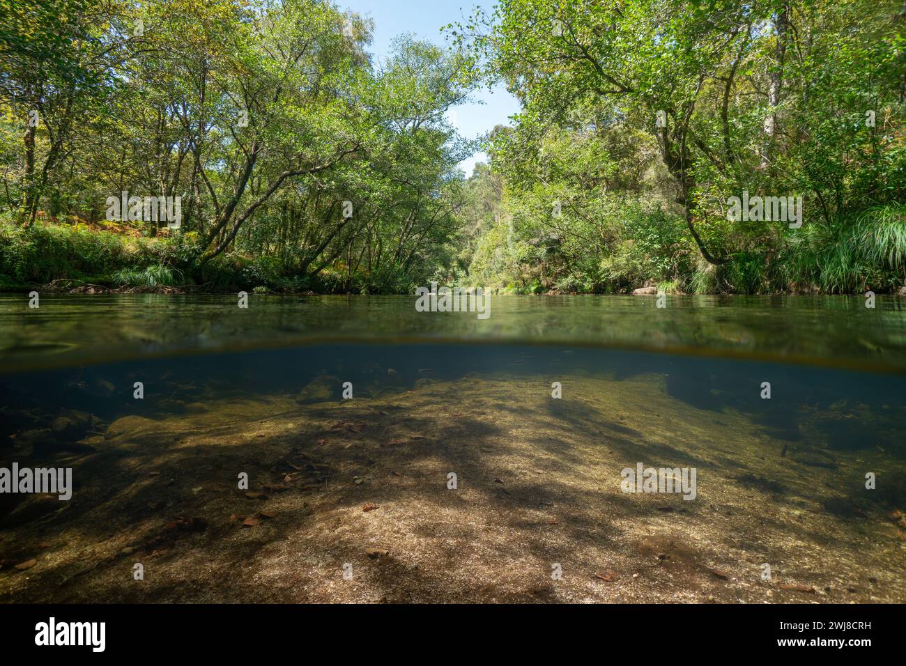 Wild river in Spain with trees on the riverbanks, split view half over ...