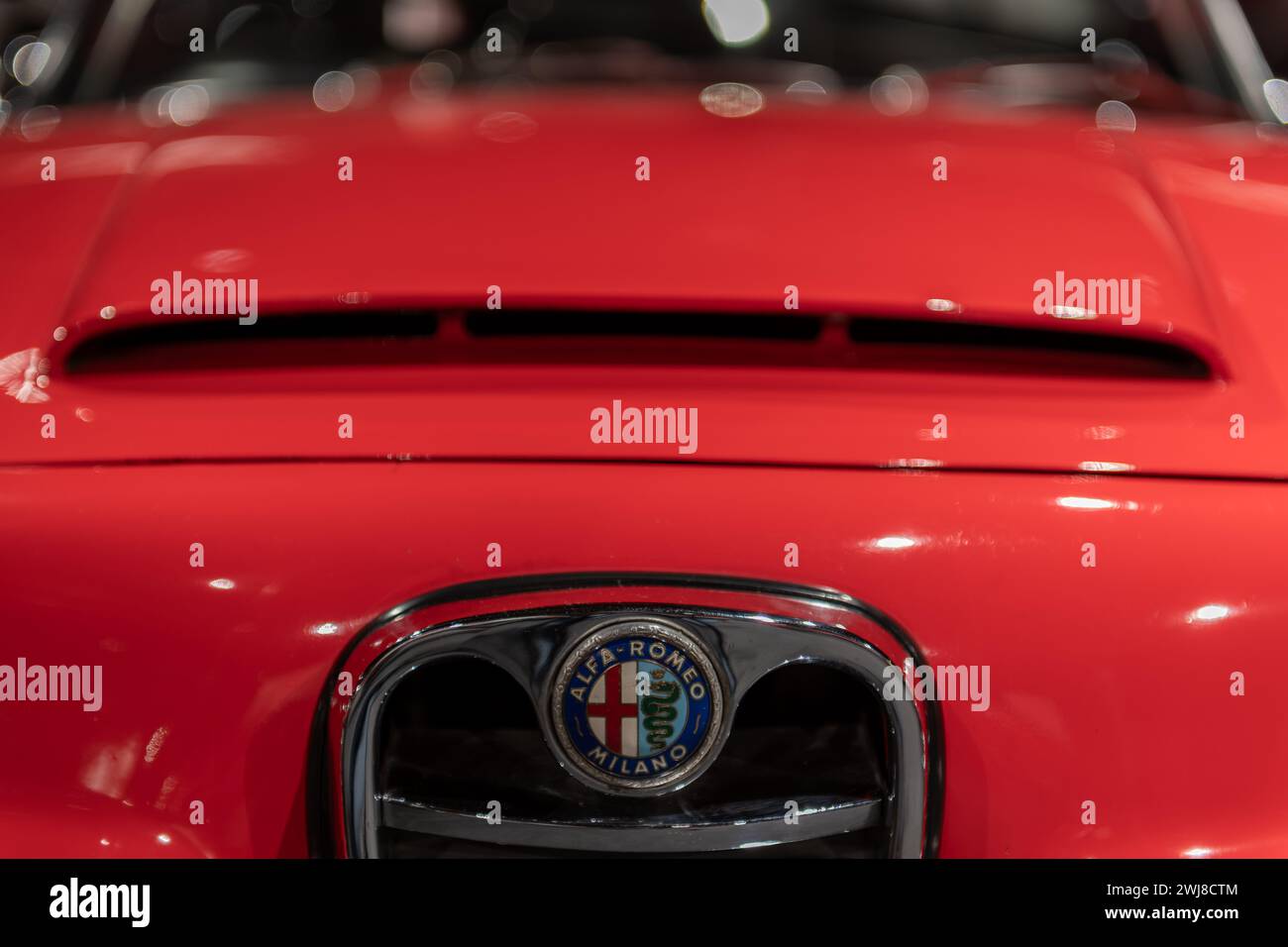 Sparkford.Somerset.United Kingdom.January 7th 2024.Close up of the ...
