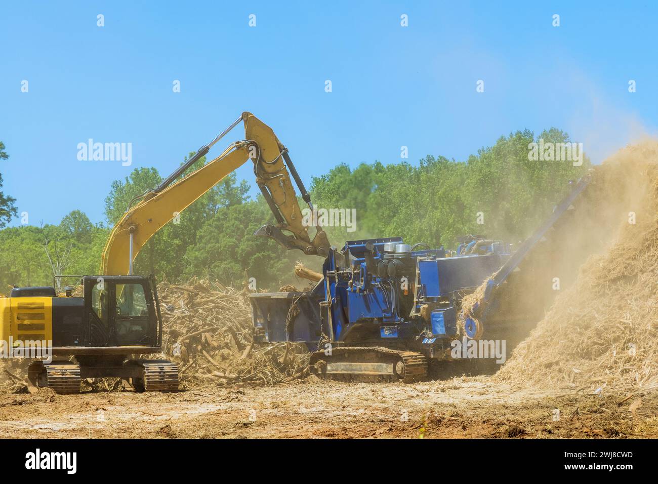 Tree roots are loaded into an industrial shredder machine chopped into ...