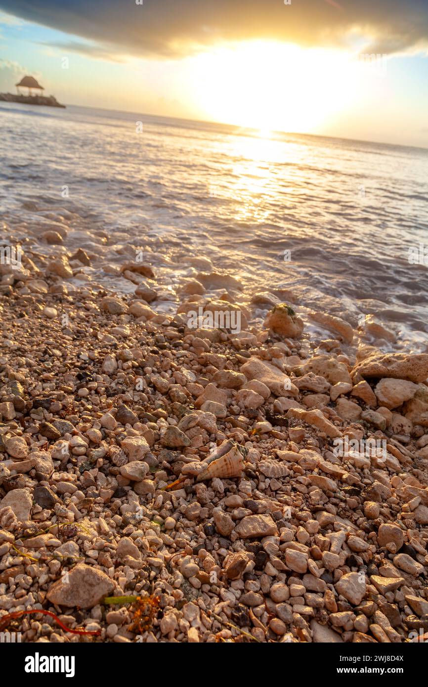 Hunting sea shells hi-res stock photography and images - Alamy
