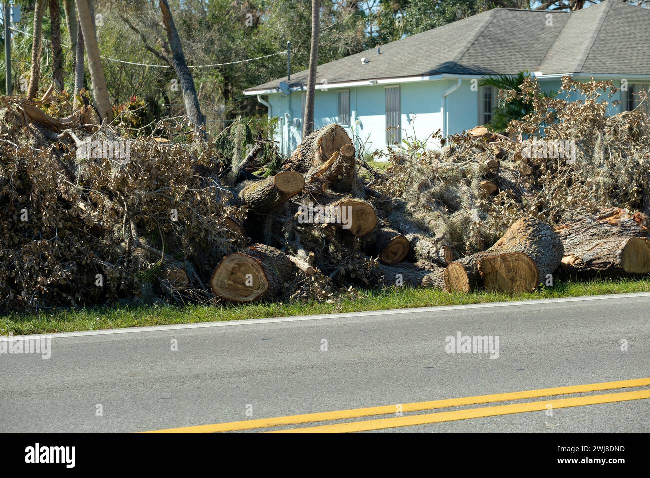 Heaps of limbs and branches debris from hurricane winds on street side ...
