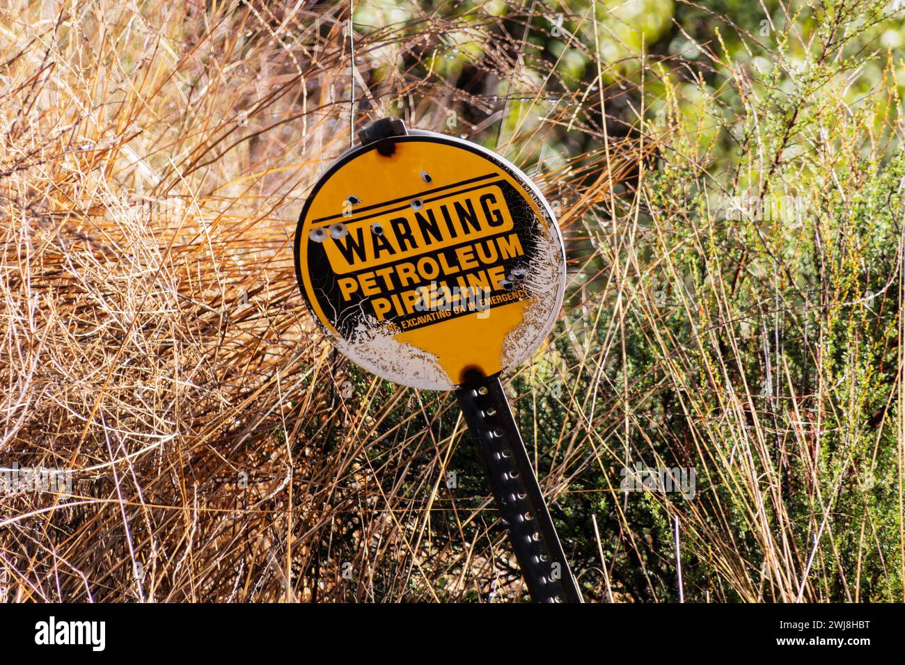 Damaged bent petroleum pipeline sign with bullet holes on brush covers ...