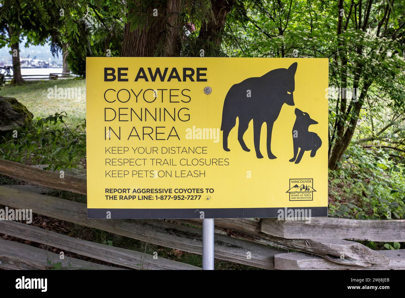 Sign in Stanley Park warning of Coyote denning area in Vancouver ...