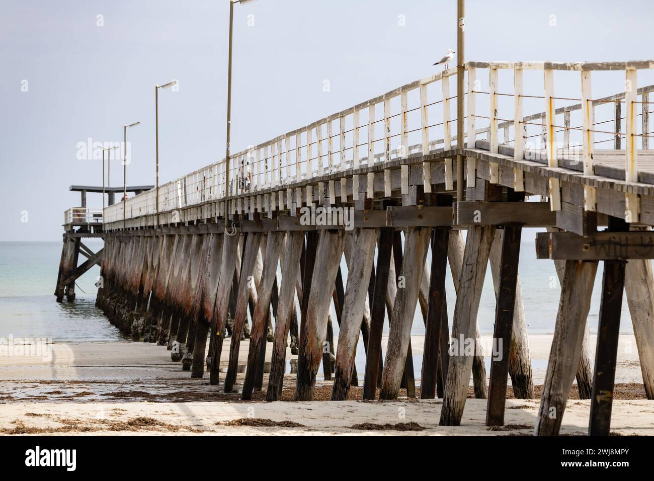 The wooden Largs North Jetty on an bright sunny day in South Australia ...