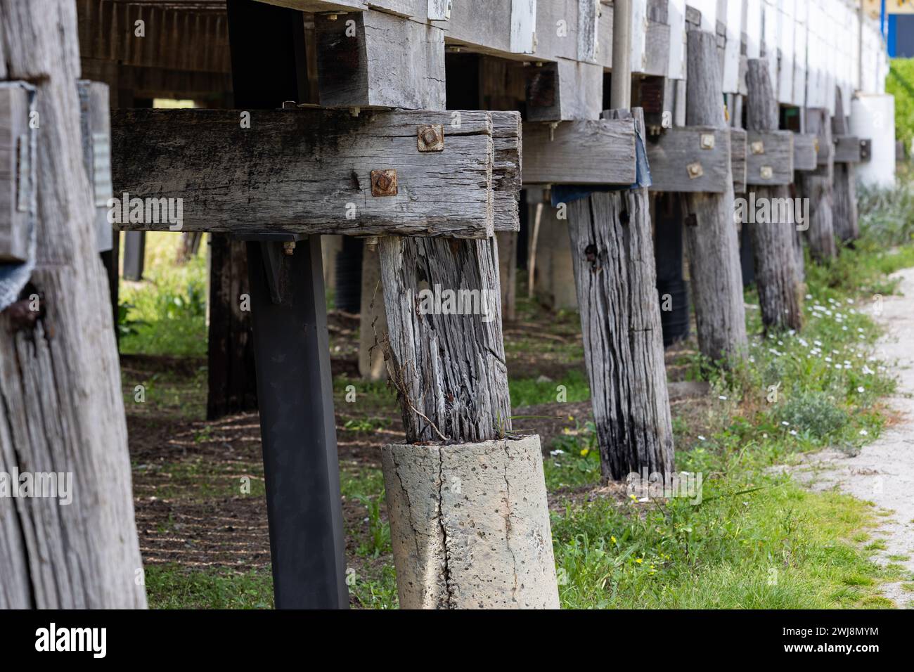 The wooden Largs and concrete reinforcements on the Largs North in ...