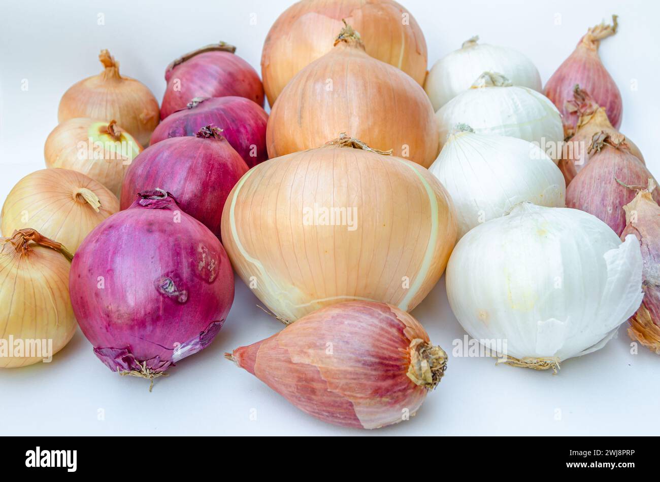 Assortment of various types of onion on white background Stock Photo ...